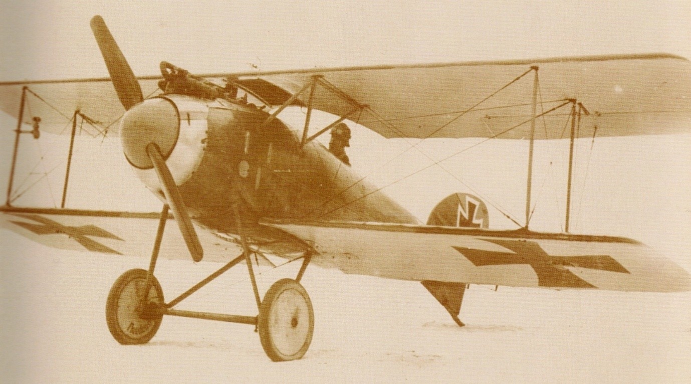 Albatros Werke D.II – All Aero