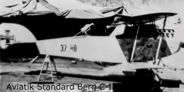Aviatik C.I / C.II / C.III Gallery – All Aero