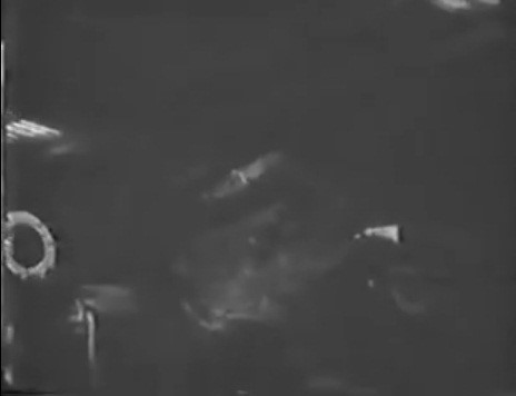 PZL.38 Wilk Gallery – All Aero