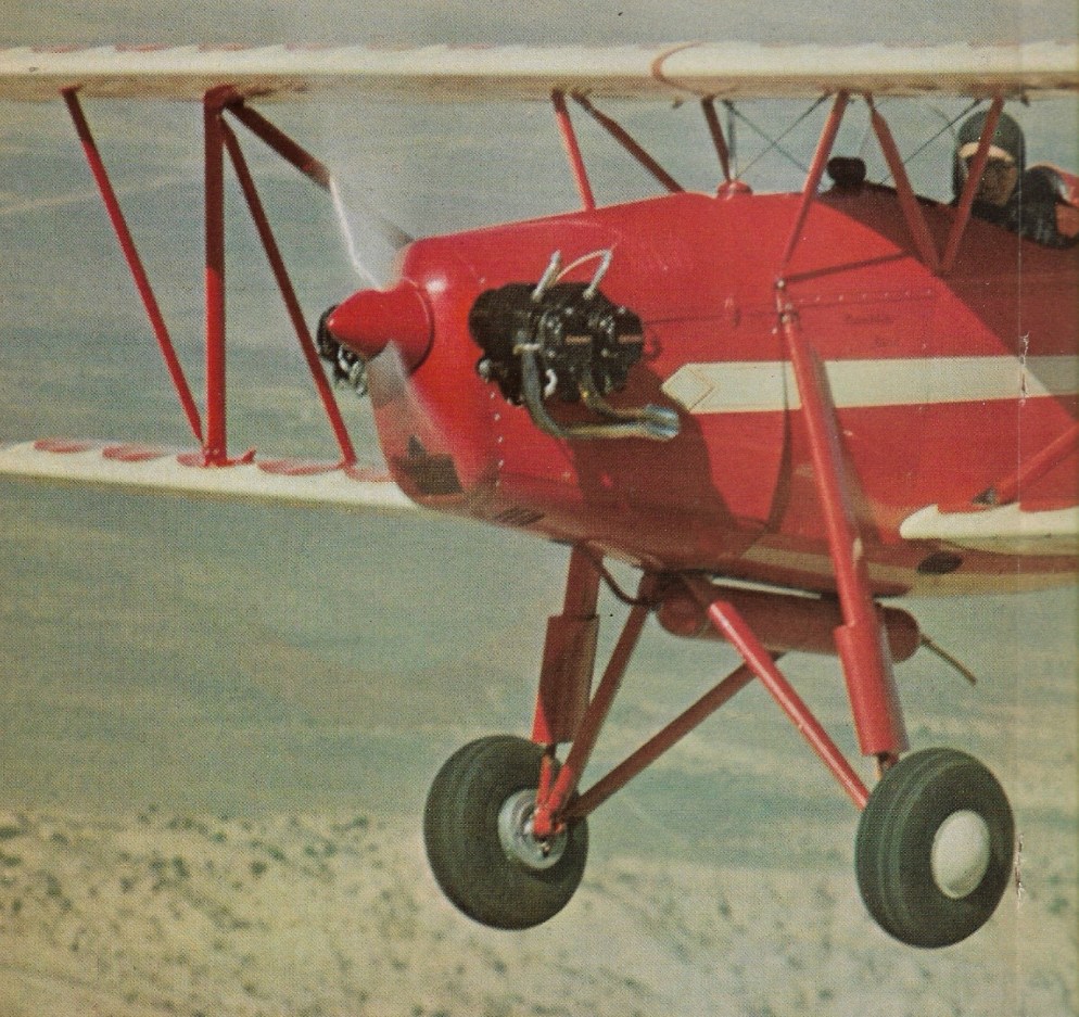 Rose Parakeet Gallery – All Aero