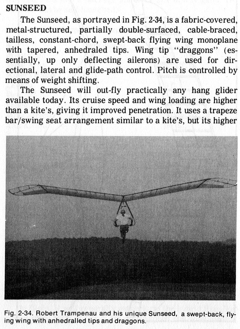 Seedwings Sunseed Article – All Aero